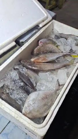 SEAFOOD PLTU ANCOL APAKAH RASANYA ENAK⁉️ BISA LIAT DI NEXT VIDIO YAA ...