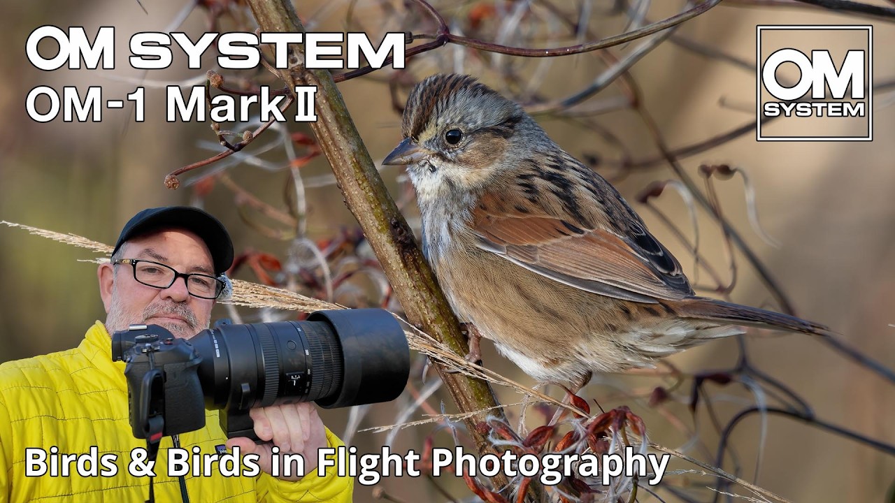 OM-1 Mark II Birds & Birds in Flight with 150-600mm Lens! Hiwassee ...