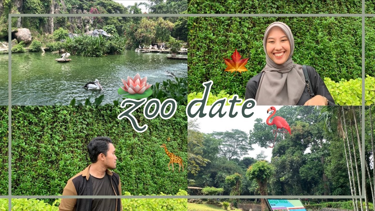zoo date 🎋🕊️ || mini vlog yang sangat mini 🤏🏻 - YouTube
