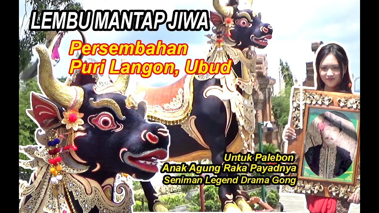lembu ganteng persembahan puri langon, pelebon AA Gde Raka Payadnya ...