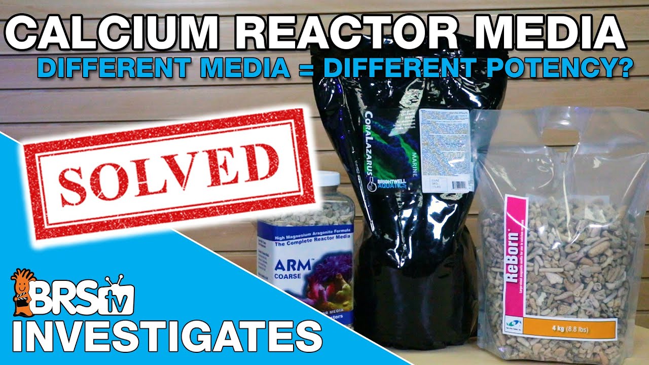 Are some calcium reactor media types more potent than others? | BRStv ...
