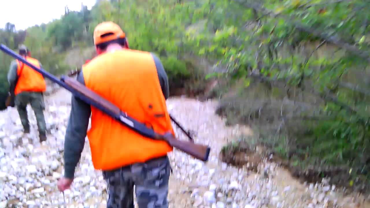 Κυνηγι αγριογουρουνου 2014 - YouTube