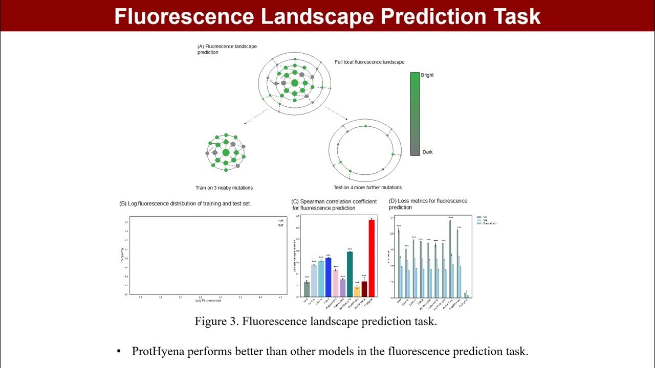 iMetaOmics | Hyena architecture enables fast and efficient protein language modeling - YouTube