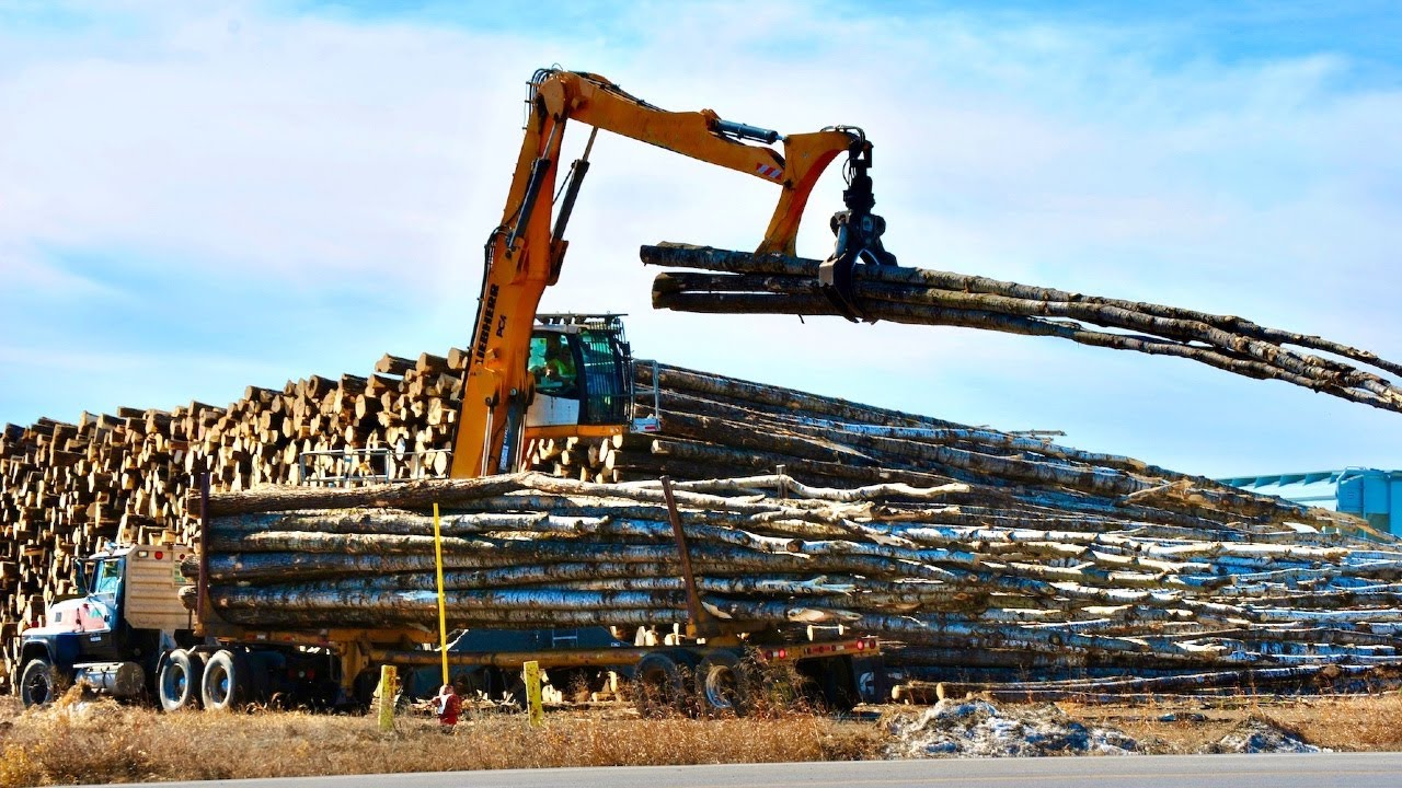 The Largest Wood Pile You'll ever See - YouTube