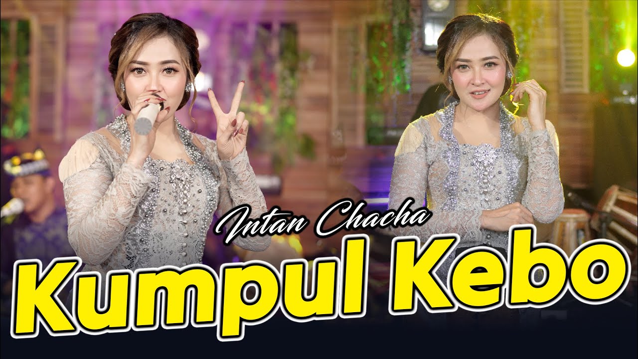 Intan Chacha - Kumpul Kebo (Official Music Video) - YouTube