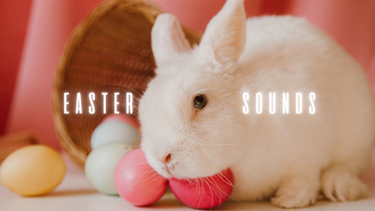 Easter Sounds - Wielkanocna muzyka - YouTube