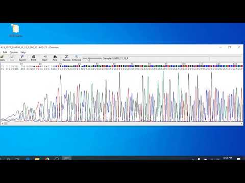 Sequence Analysis Protocol - Assess Sequence Quality - Chromas PC
