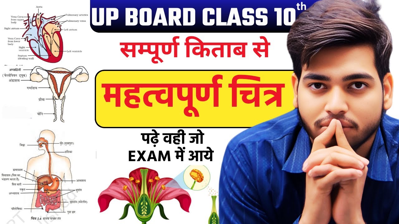 Class 10th Science Most Important Diagrams Revision | UP Board Exam ...