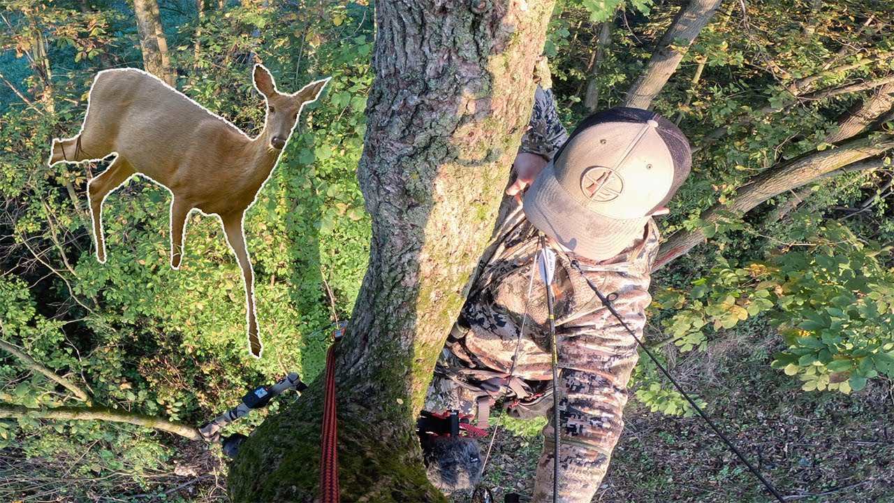 FIRST DEER OF THE SEASON - YouTube