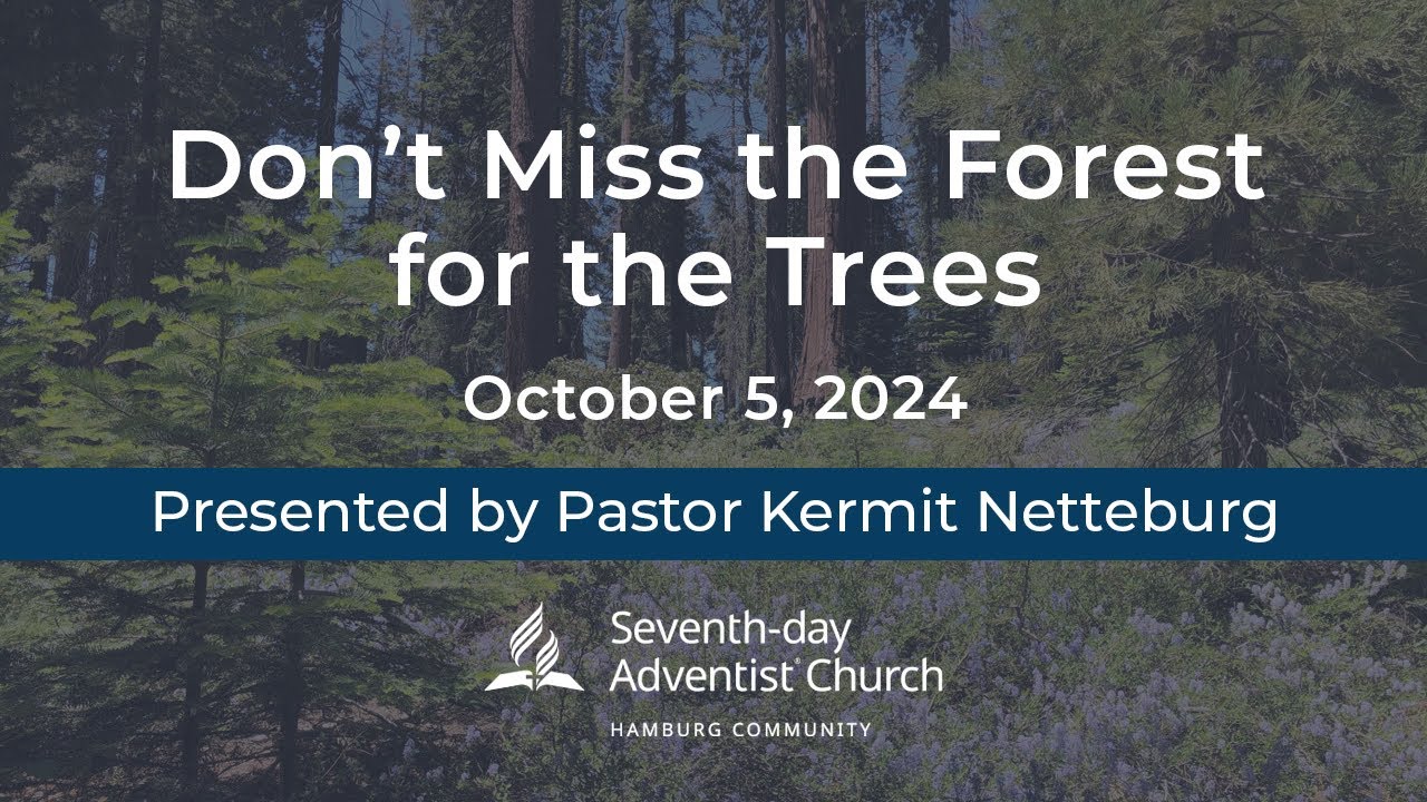 Don't Miss the Forest for the Trees - YouTube