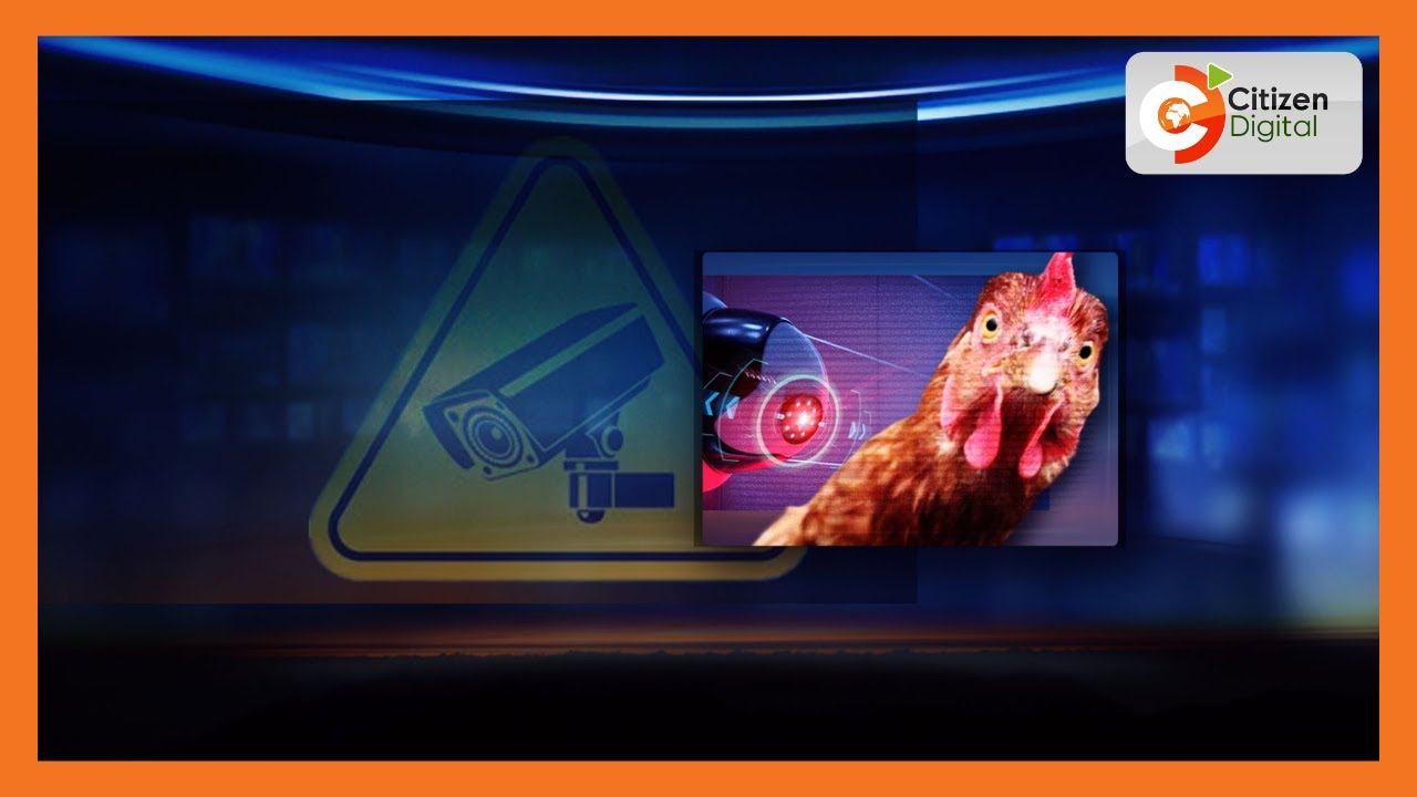 5 police stations hunting down ‘chicken heist’ suspects - YouTube