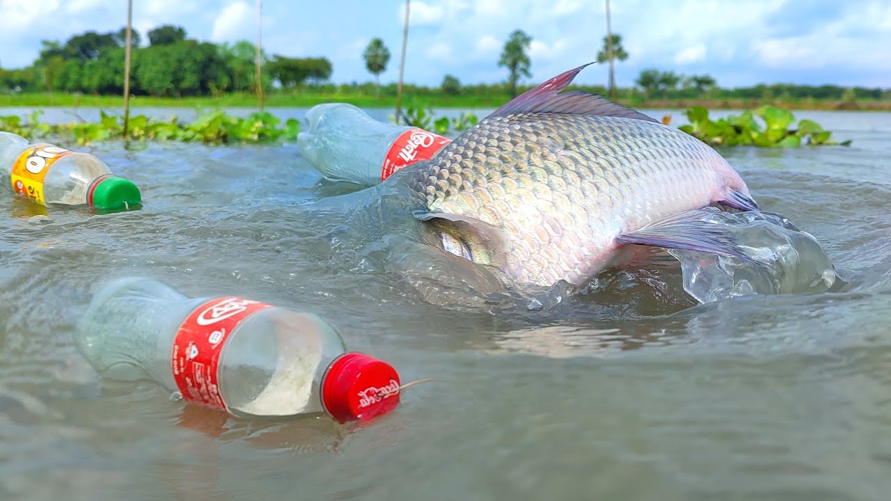 Amazing Really Plastic Bottle Fishing Technique | Hook Fishing Trap ...