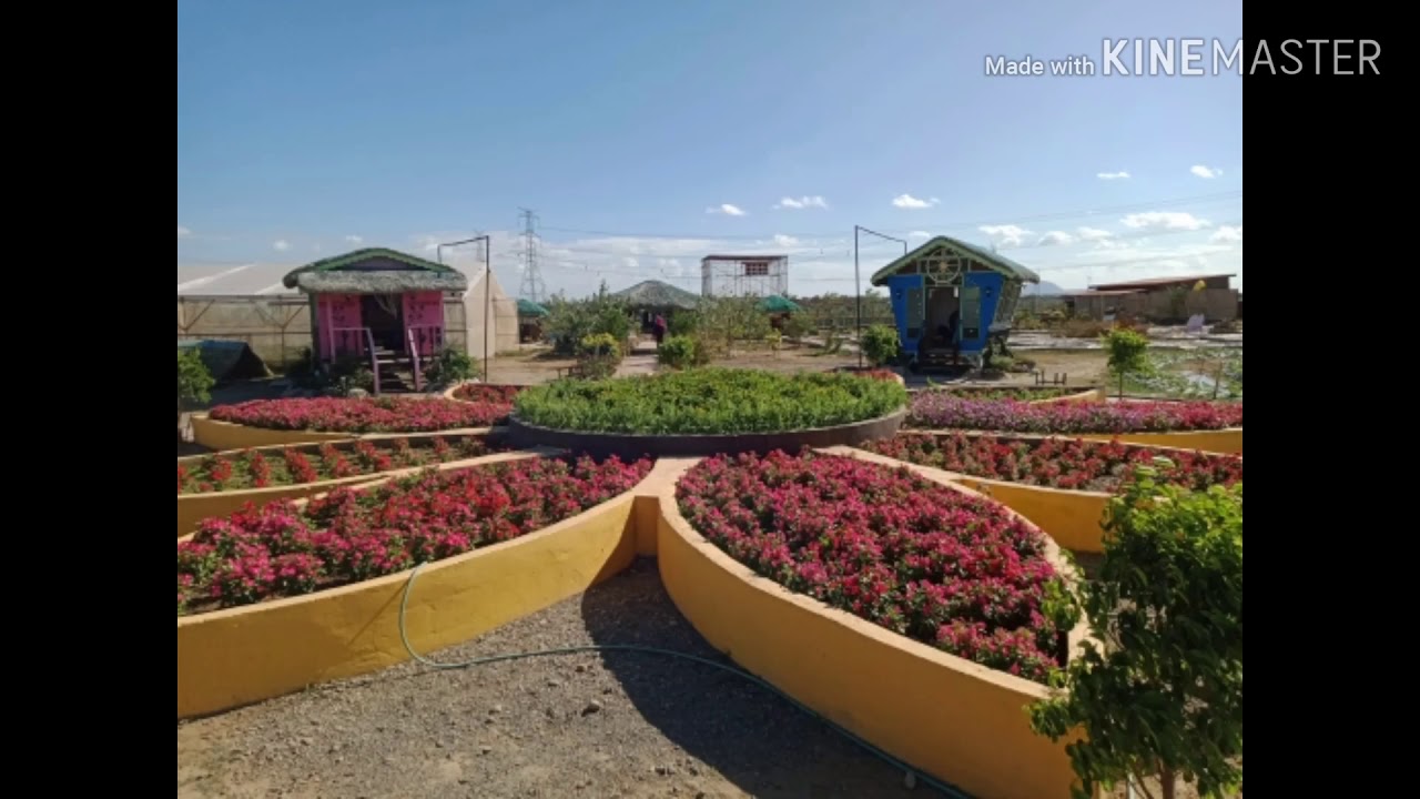 Tayug Eco Park, Sun Flower Camp - YouTube