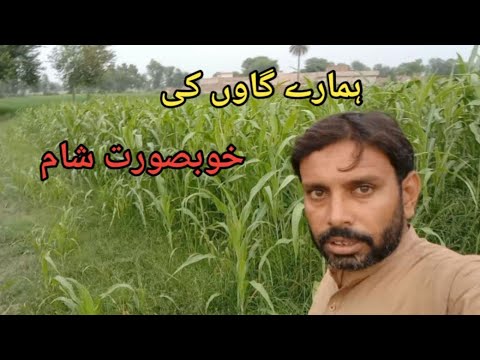Hamary Goun ke Khobsurat Sham😊.|Rana Adnan Vlog| - YouTube