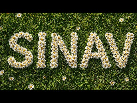 Meçhul Şarkılar | Sınav 