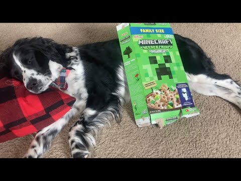 Creeper Crunch Minecraft Cereal cosmetics code giveaway! - YouTube