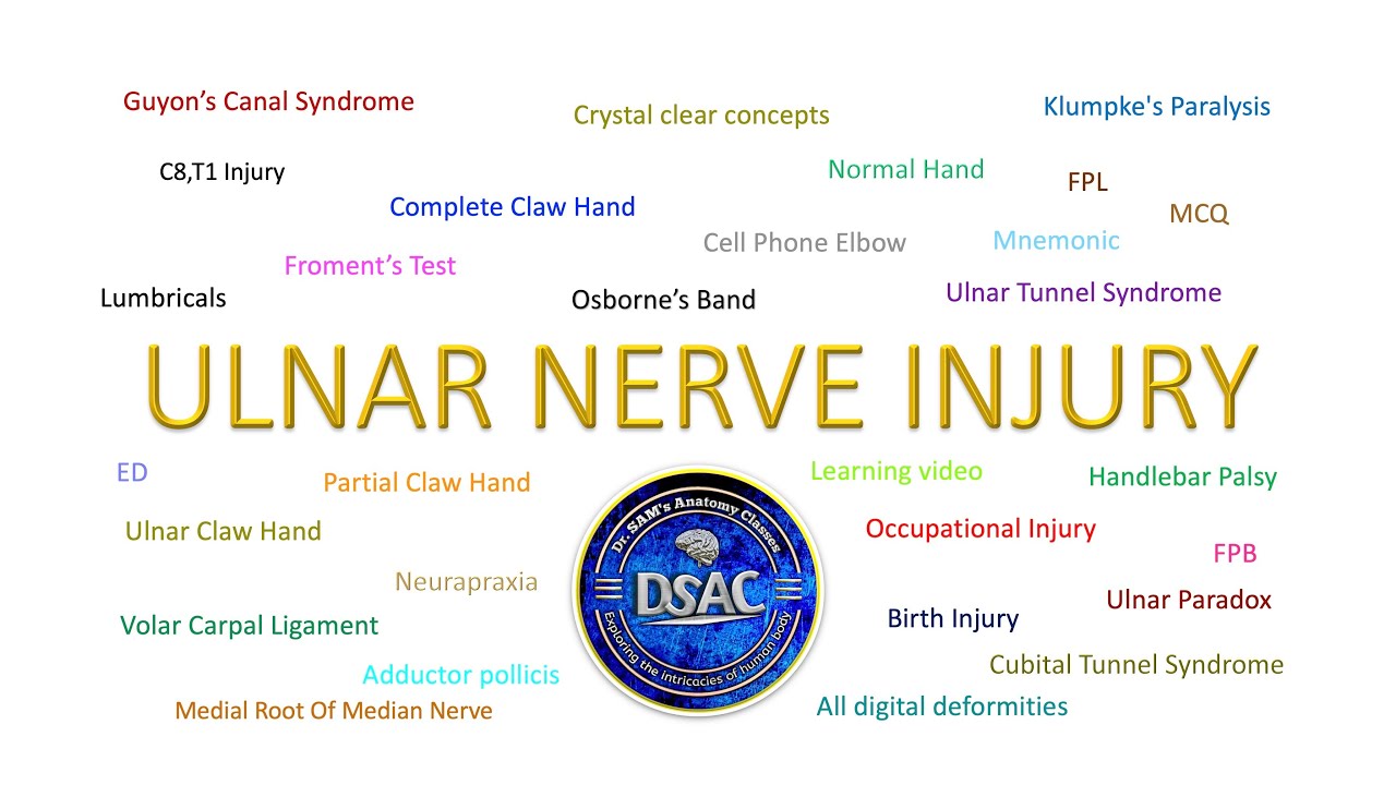 Ulnar Nerve Clinical Anatomy, Ulnar Nerve Injury, Guyon's Canal ...