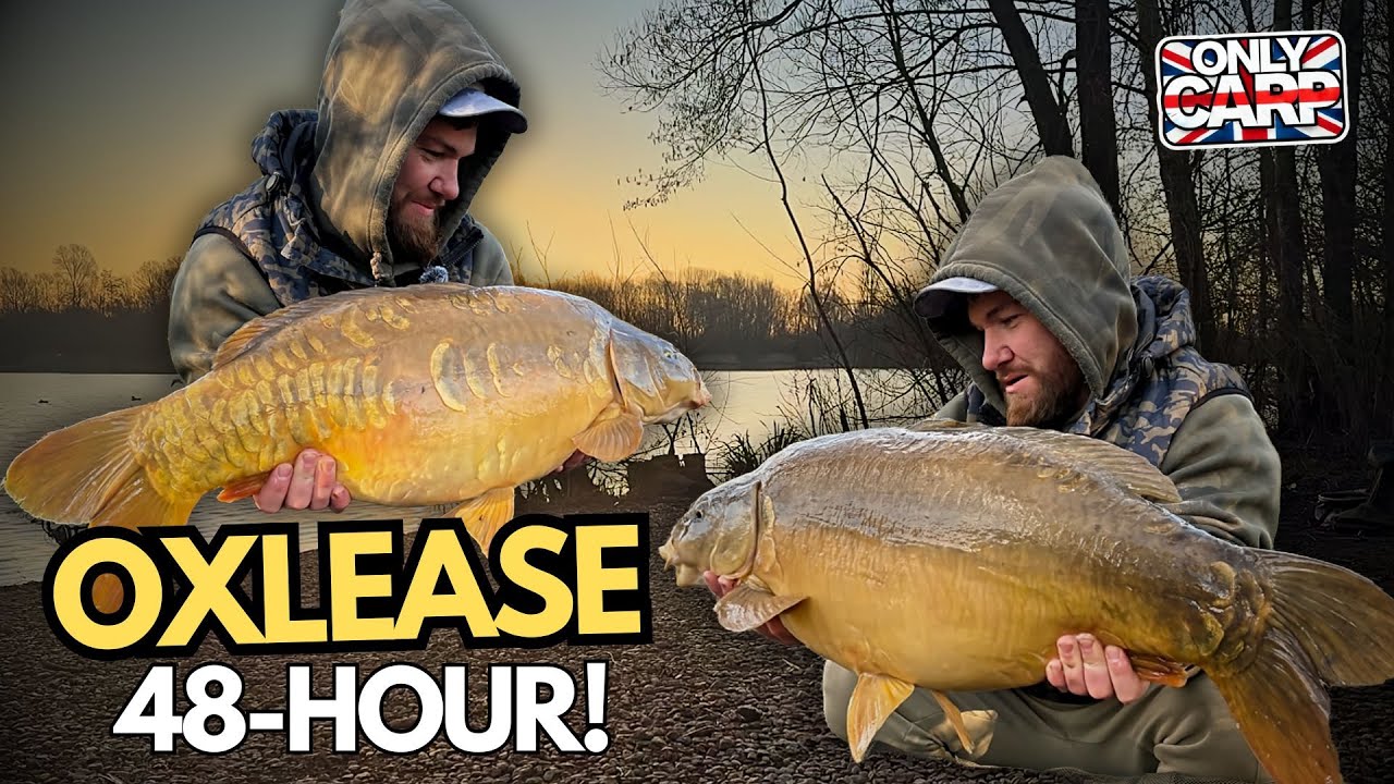 We Fished Linear Fisheries on Oxlease for 48 Hours… Here’s What ...