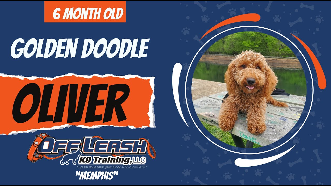 Oliver Day-Training Before and After - YouTube