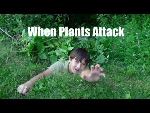 When Plants Attack! Trailer - YouTube