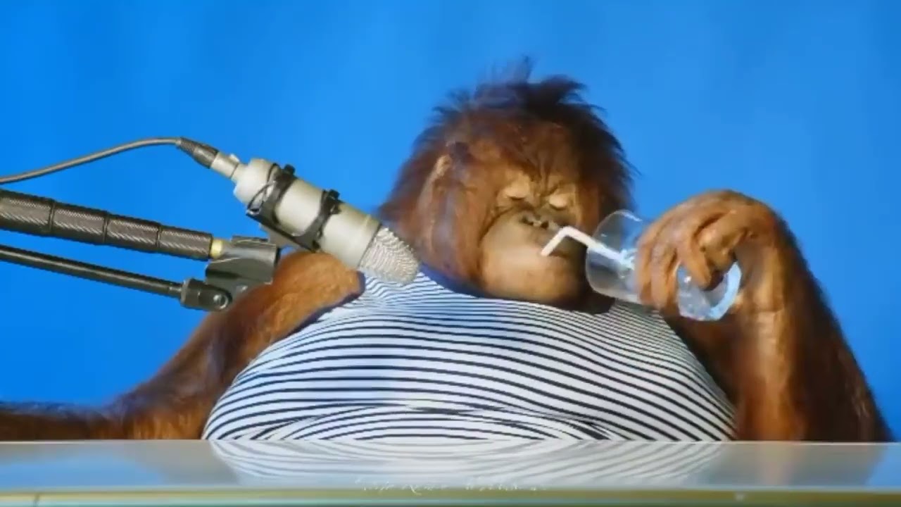 funny asmr - YouTube