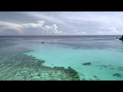 Turtle Sanctuary Redang - YouTube