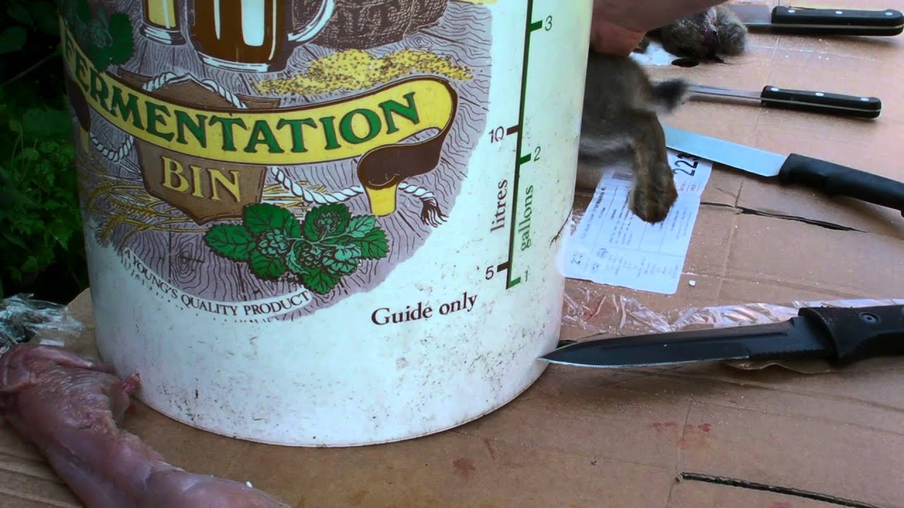 Rabbits: Beginners Guide To Gutting and Skinning. For beginners by a ...