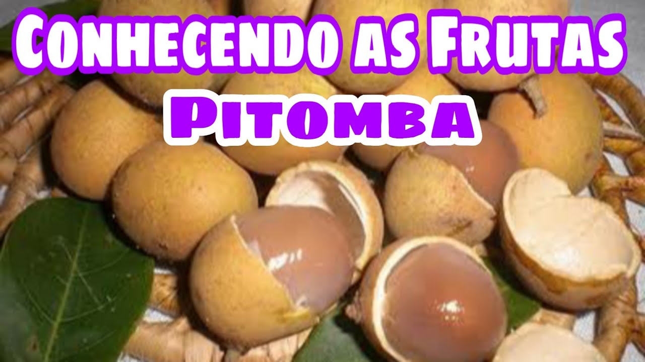 Frutas Que Parece Com Pitomba - FDPLEARN