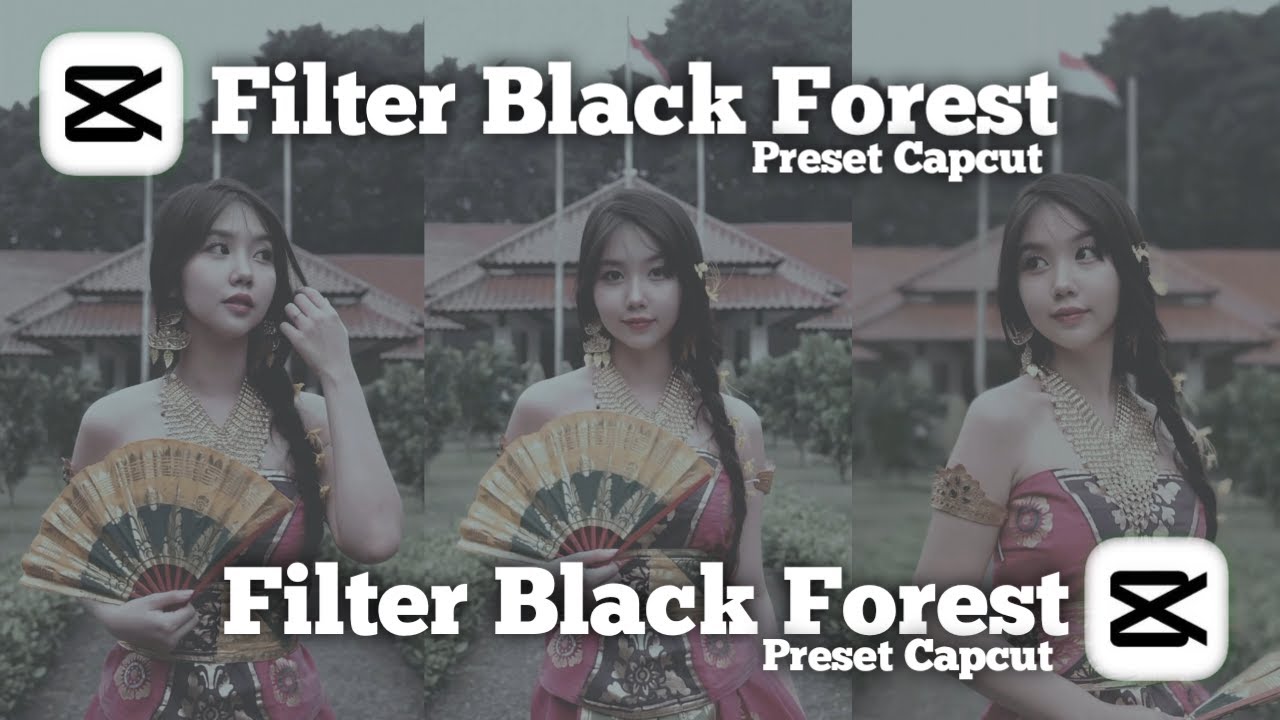 Filter Black Forest | Filter Capcut Aesthetic | Filter Capcut | Black ...