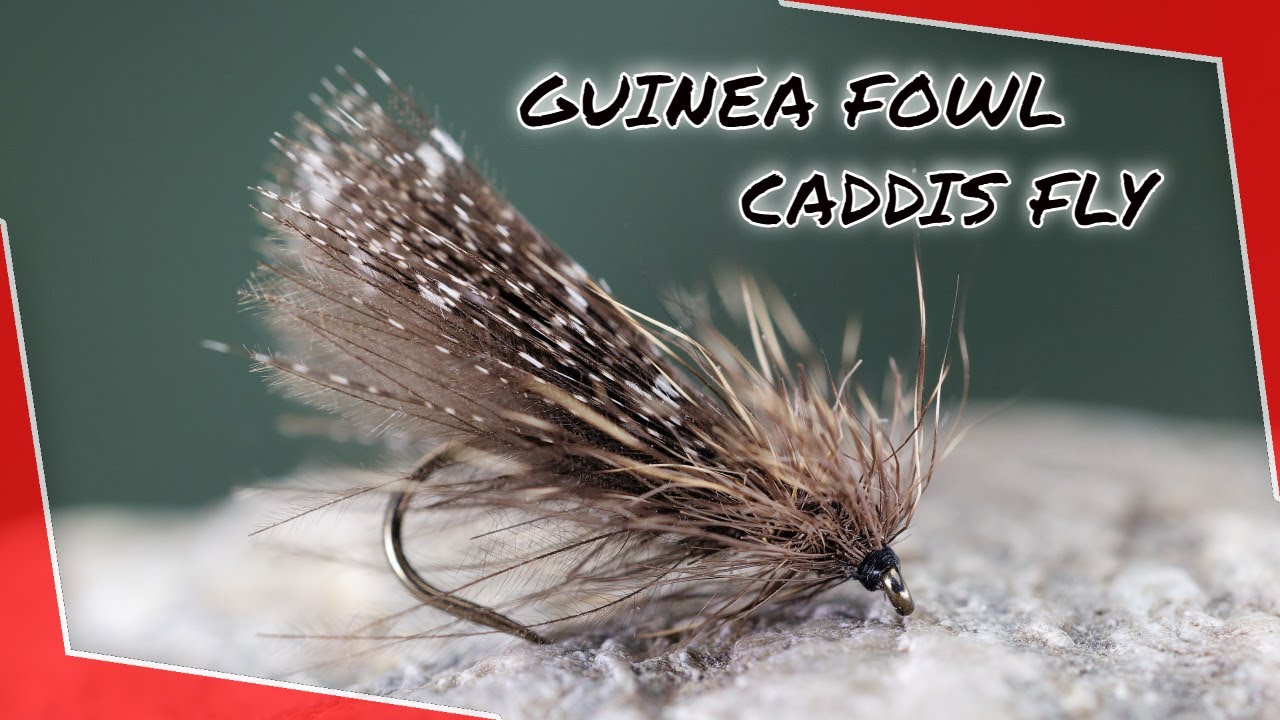 Tying a Guinea Fowl Caddis dry fly pattern ,very good and low ...