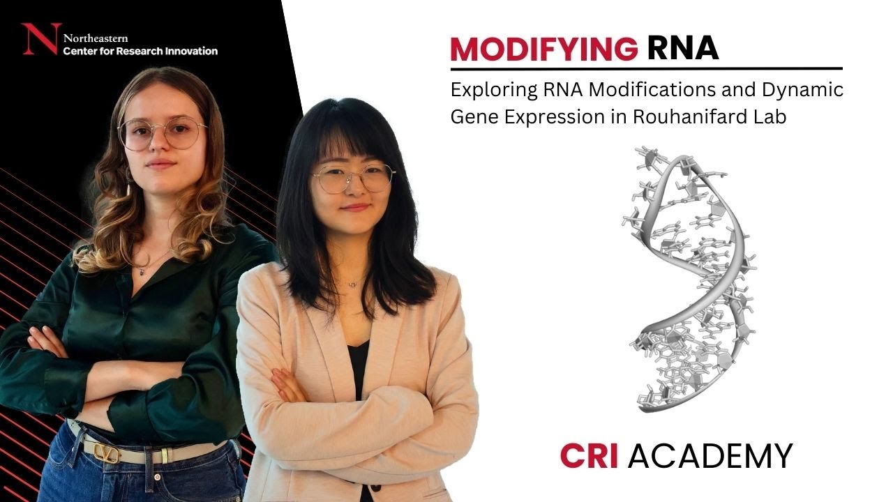 Exploring RNA Modifications and Dynamic Gene Expression in Rouhanifard ...