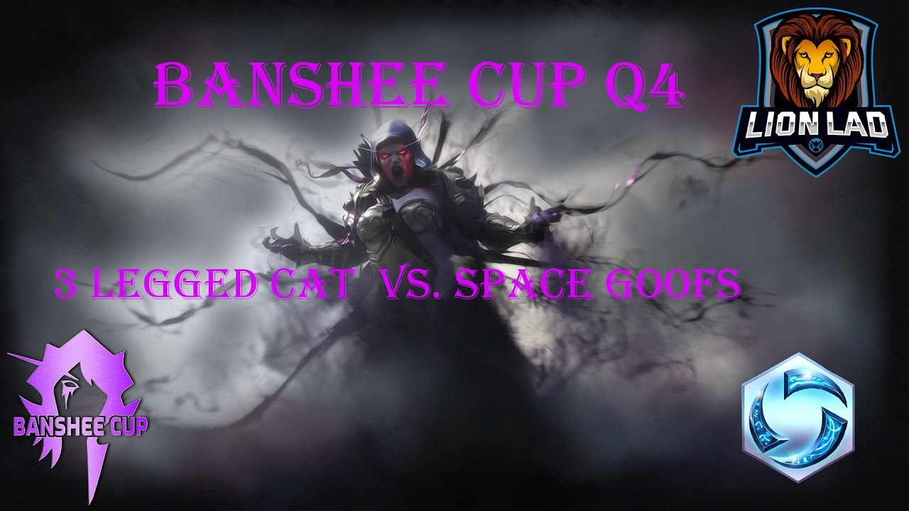 Banshee Cup Q4 3 Legged Cat vs. Space Goofs - Heroes of the Storm ...