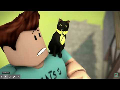 Finding Sir meows a lot - YouTube