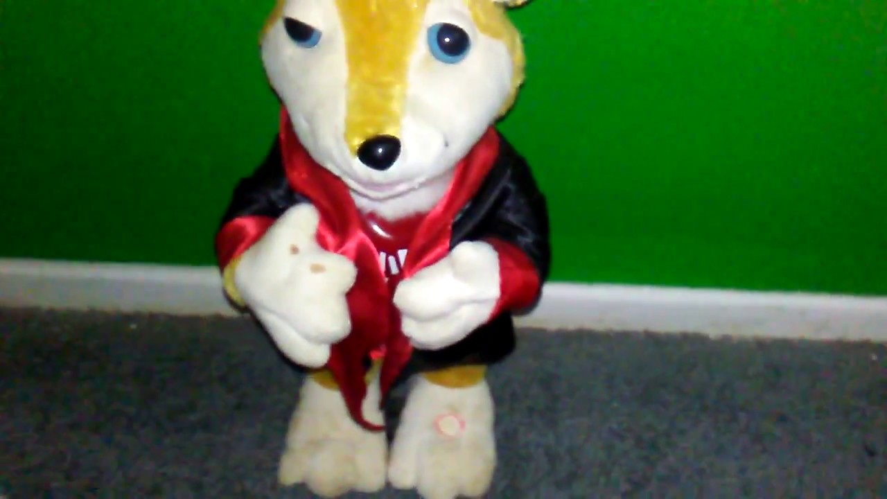 Gemmy flirty flasher fox hard to handle - YouTube