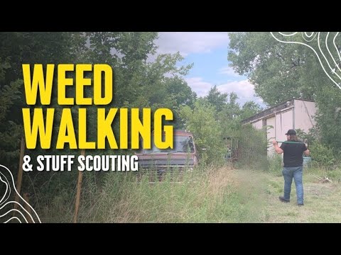 Weed Walking and Stuff Searching - Missouri - YouTube