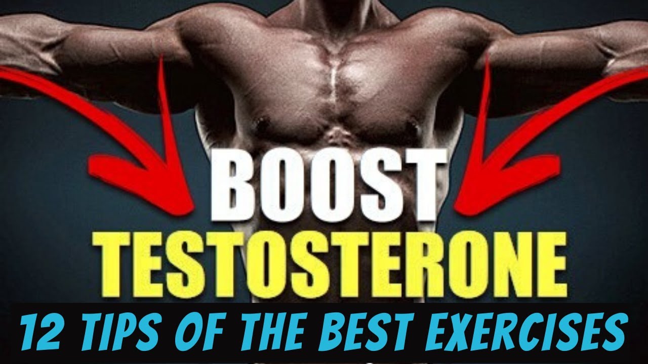 12 most important exercises to increase testosterone #testosterone # ...
