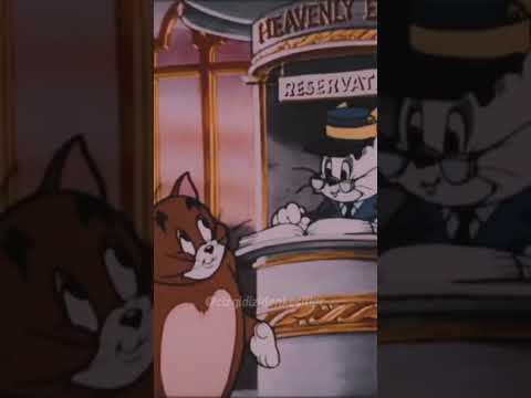 😔🥺🥺 Tom ve Jerry Cennetlik Kedi bölümünden #short #shortsvideo #shorts #cat #tomandjerry
