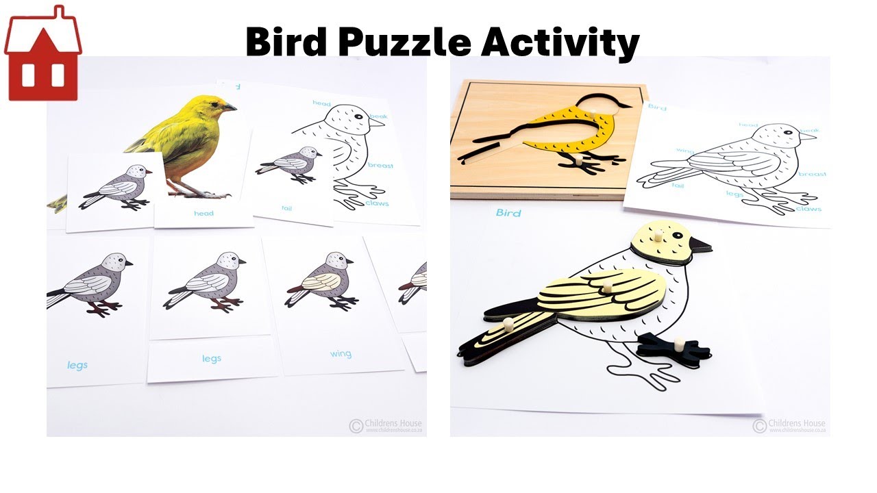 Bird Puzzle Activity - YouTube
