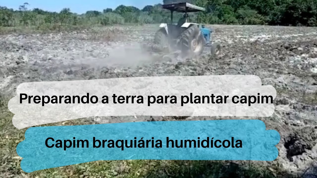 Plantando capim Brachiaria humidícola - YouTube