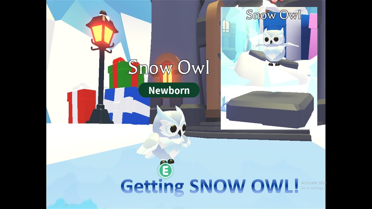 How to purchase snow owl in Adopt me! - YouTube