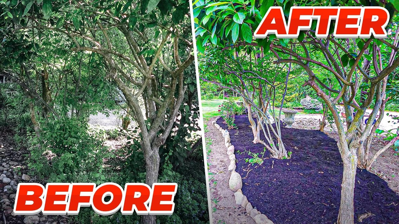 OVERGROWN garden bed TRANSFORMATION the weeds are taking OVER (Part 1 ...