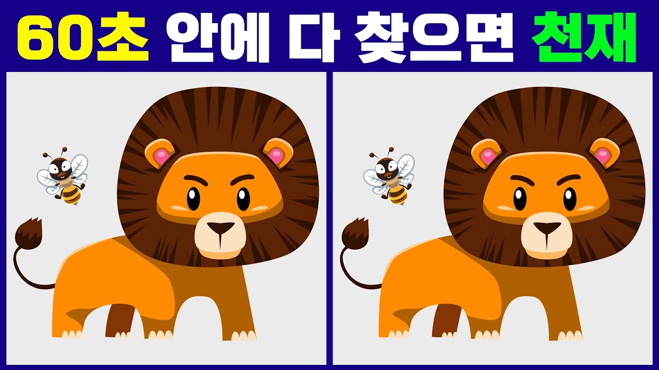 【다른그림찾기 틀린그림찾기】 60초 안에 다 찾으면 당신의 집중력 인지력은 천재 수준 입니다 숨은 그림 3개 찾기 영상