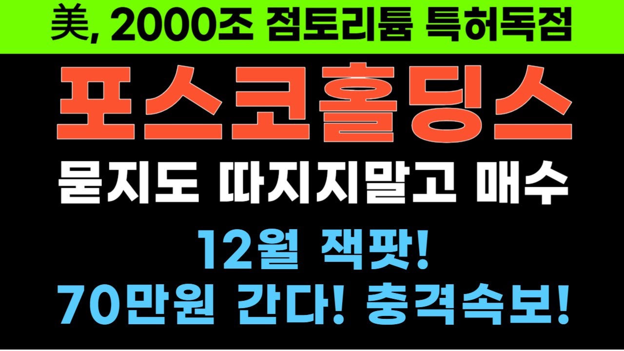 포스코홀딩스 세계최고의 기업이 될겁니다장기투자하세요 100배 수익납니다 포스코홀딩스 주가전망 양극재 에코프로