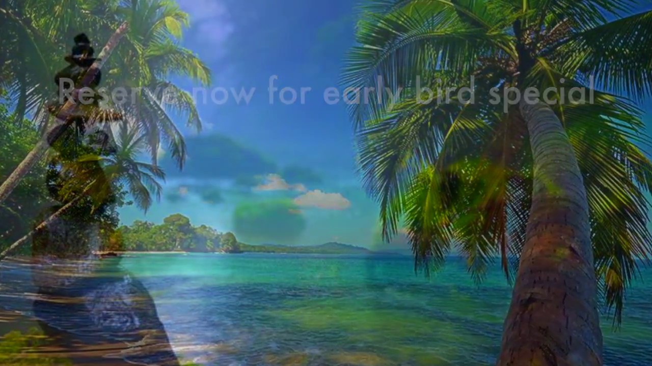 Samasati Yoga Retreat & Rainforest Sanctuary - YouTube