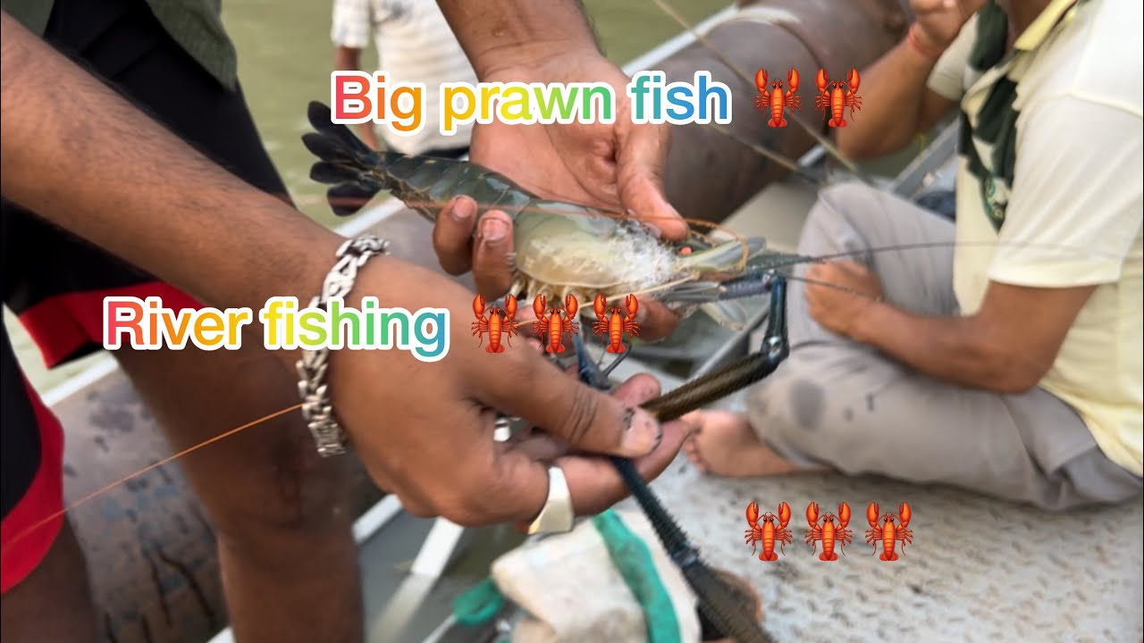 Amazing prawn fishing 🦞🦞|| River fishing 🦞🦞||#viralvideo #fishcatching ...