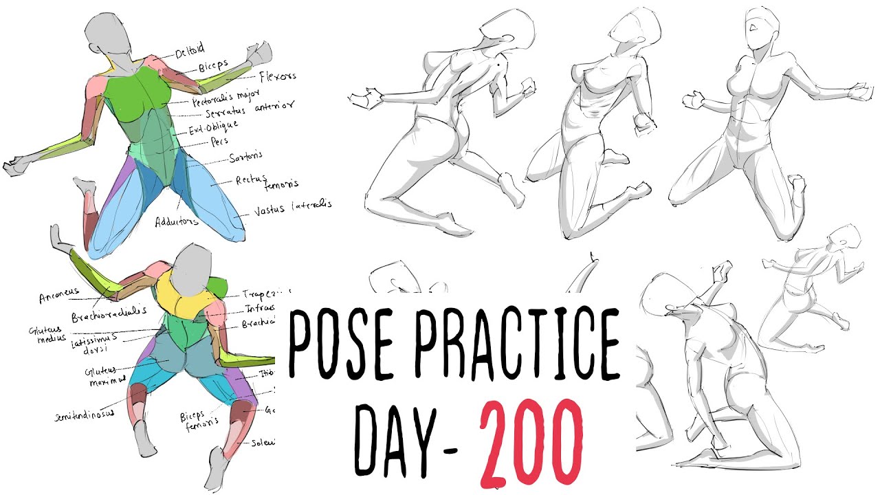 Daily Pose Practice Part 200 - YouTube