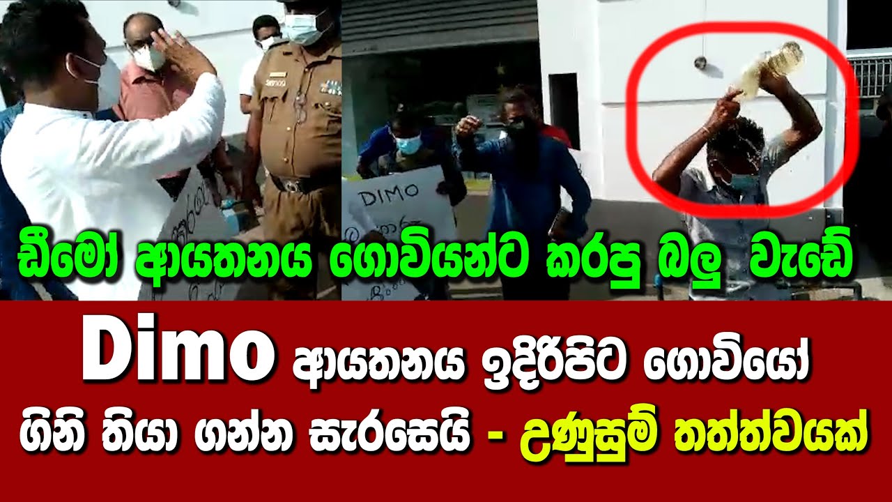 Dimo ආයතනය ඉදිරිපිට ගොවියෝ ගිනි තියා ගන්න සැරසෙයි - උණුසුම් තත්ත්වයක් ...