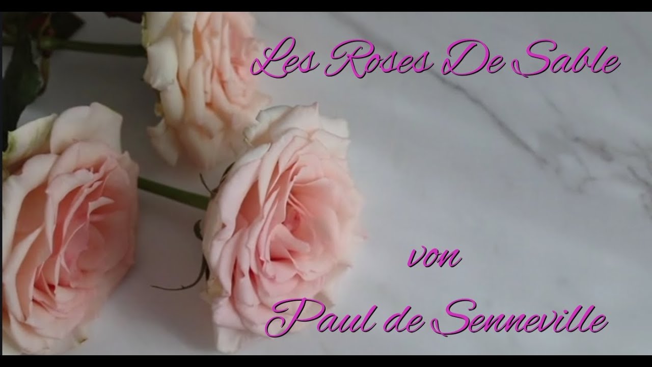 Les Roses de Sable - Paul de Senneville- Eveline Hoffmann - YouTube