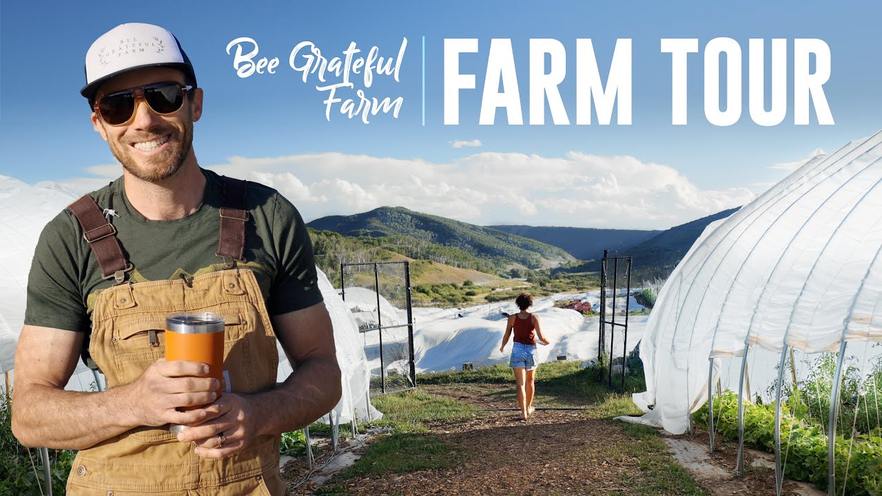 FULL TOUR of Bee Grateful Farm in the Colorado Rockies! - YouTube