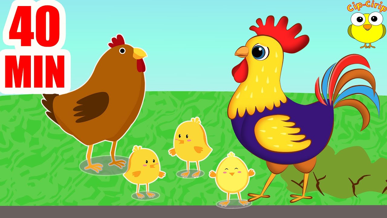 Cocosul, puisorii si gaina - Cantece pentru copii (desene animate ...